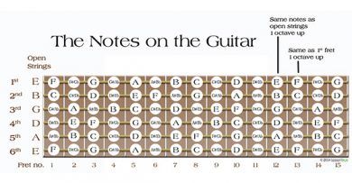 5 Chromatic Scale Exercises For Guitar With Examples - Music Industry ...