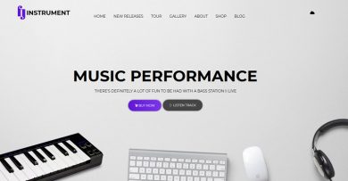 41 Best WordPress Themes For Musicians 2024 - Music Industry How To