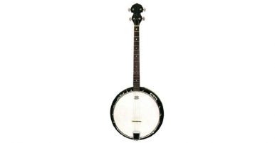 Best Banjo For Beginners And Intermediates 2026, We Compare The Brands ...