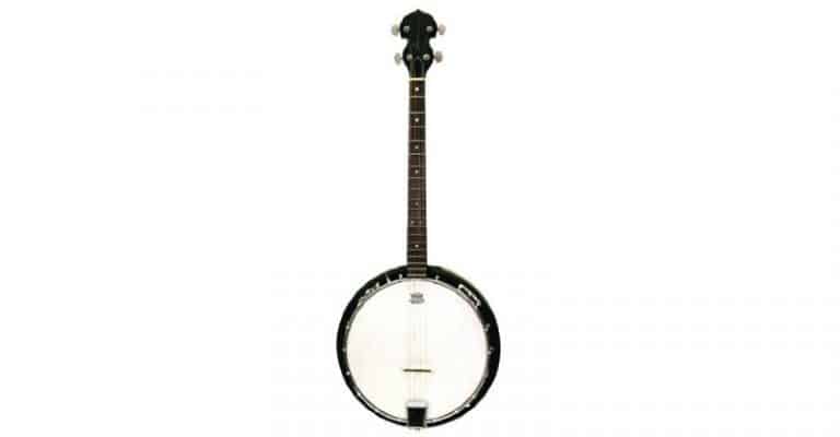 Best Banjo For Beginners And Intermediates 2026, We Compare The Brands ...