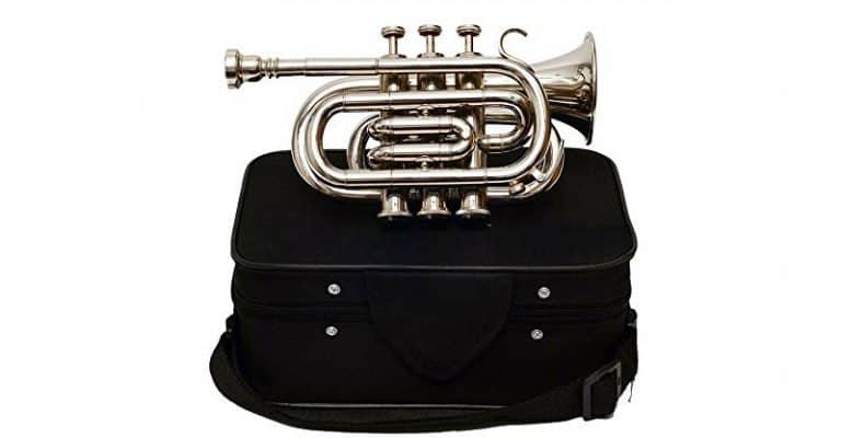 12 Best Pocket Trumpets 2026; We Review The Top Brands For The Money ...