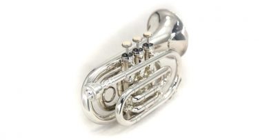 12 Best Pocket Trumpets 2026; We Review The Top Brands For The Money ...