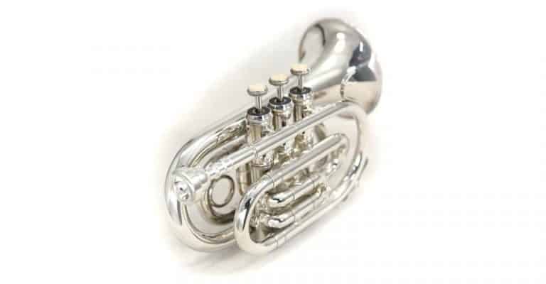 12 Best Pocket Trumpets 2026; We Review The Top Brands For The Money ...