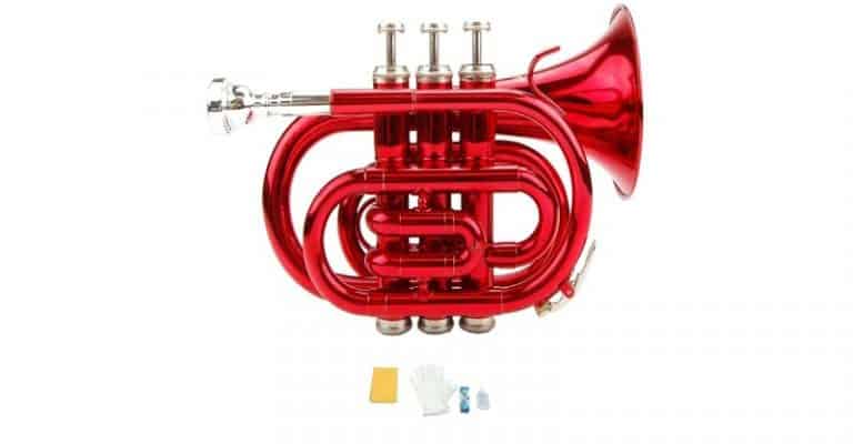 12 Best Pocket Trumpets 2025; We Review The Top Brands For The Money ...