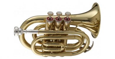 12 Best Pocket Trumpets 2021; We Review The Top Brands For The Money ...