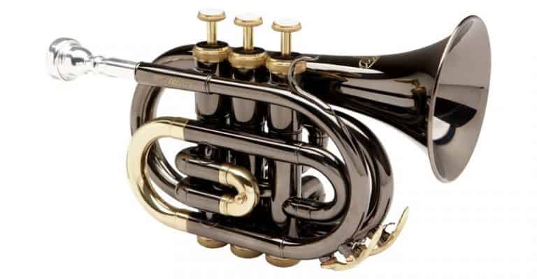12 Best Pocket Trumpets 2026; We Review The Top Brands For The Money ...