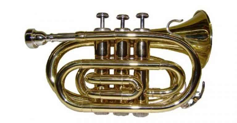 12 Best Pocket Trumpets 2026; We Review The Top Brands For The Money ...
