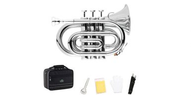12 Best Pocket Trumpets 2025; We Review The Top Brands For The Money ...