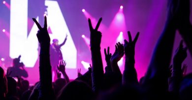 How To Create A Fan Culture That’s Awesome For All Involved - Music ...