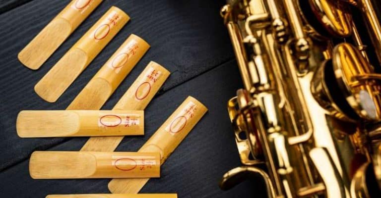 When To Change Your Saxophone Reeds For Best Results - Music Industry ...