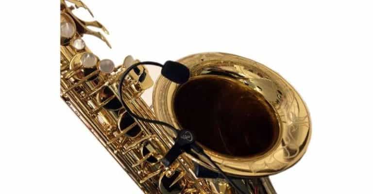 9 Types of Saxophone, We Compare the Differences - Music Industry How To
