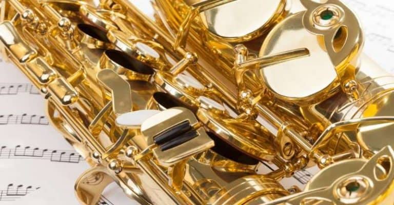 9 Types of Saxophone, We Compare the Differences - Music Industry How To