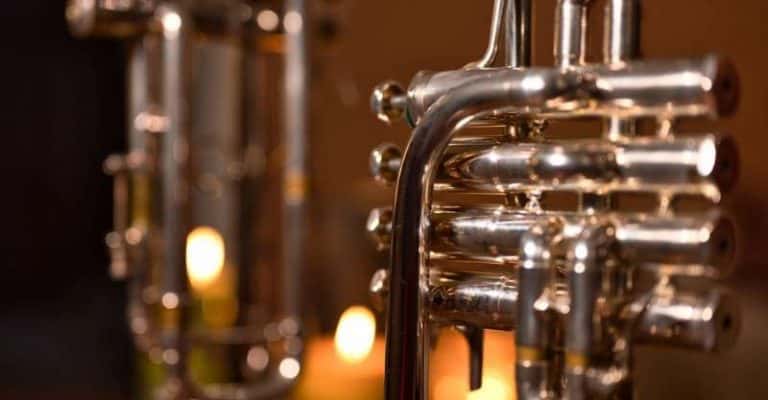 What Are the Different Parts of a Trumpet Called? We List Them All ...