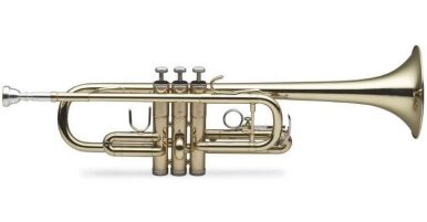 11 Different Trumpet Sizes & How to Pick the Right Size for You - Music ...