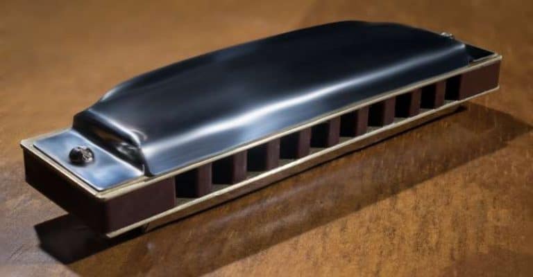 Diatonic Vs Chromatic Harmonica; Which Should You Buy? - Music Industry How To