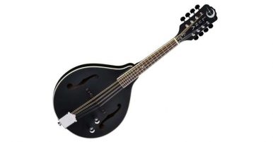 5 Best Electric Mandolins For Beginners 2025 - Music Industry How To