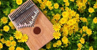 What Is A Kalimba? - Music Industry How To