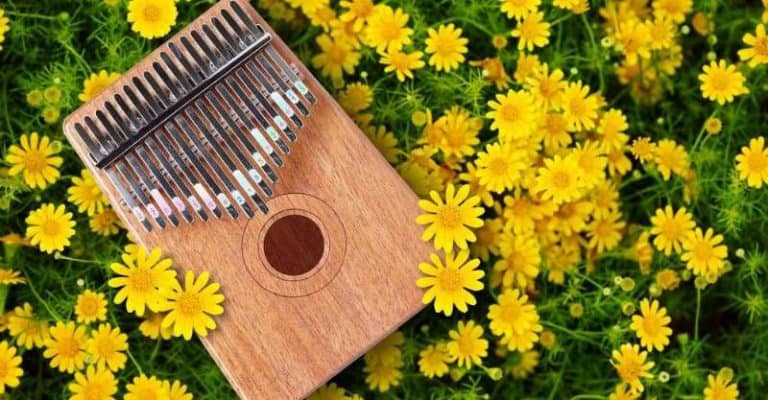 What Is A Kalimba? - Music Industry How To