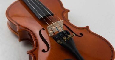 What Is A Bass Violin? Definition Revealed - Music Industry How To