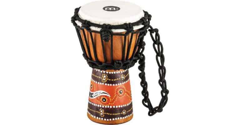 7 Best Drums For Drum Circles 2026 - Music Industry How To