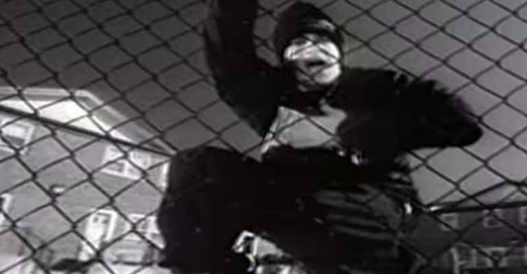 25 Best New Jersey Rappers - Music Industry How To