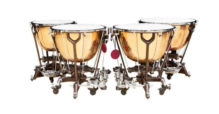 29 Types Of Drums For Beginners - Music Industry How To