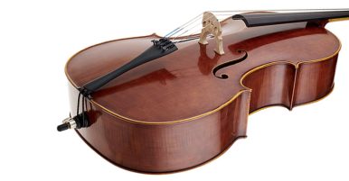 14 Best Violin Brands Ever - Music Industry How To