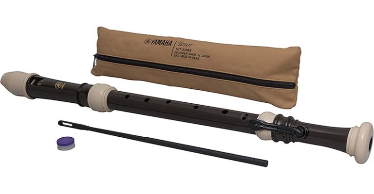 6 Types Of Recorders - Music Industry How To