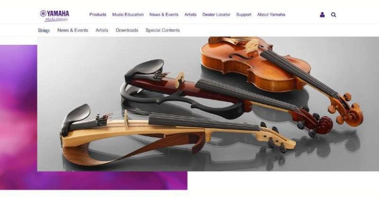14 Best Violin Brands Ever - Music Industry How To