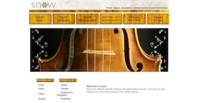 14 Best Violin Brands Ever - Music Industry How To