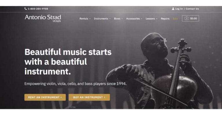 14 Best Violin Brands Ever - Music Industry How To
