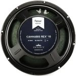 11 Best 10-Inch Guitar Speakers 2026 - Music Industry How To